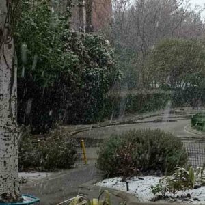 Rosie Louise Ellery | The TEFL Academy