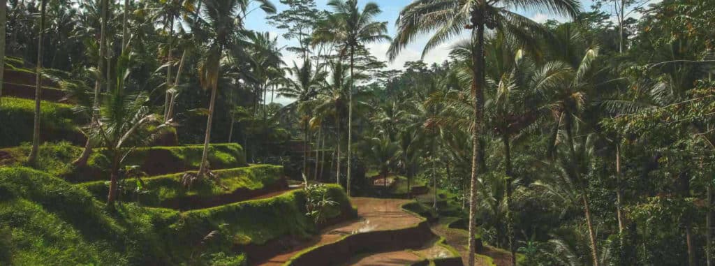 What Is The Affective Filter In Language Learning? | The TEFL Academy